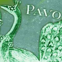 The 36 Zodiac Decans - Darkstar Astrology